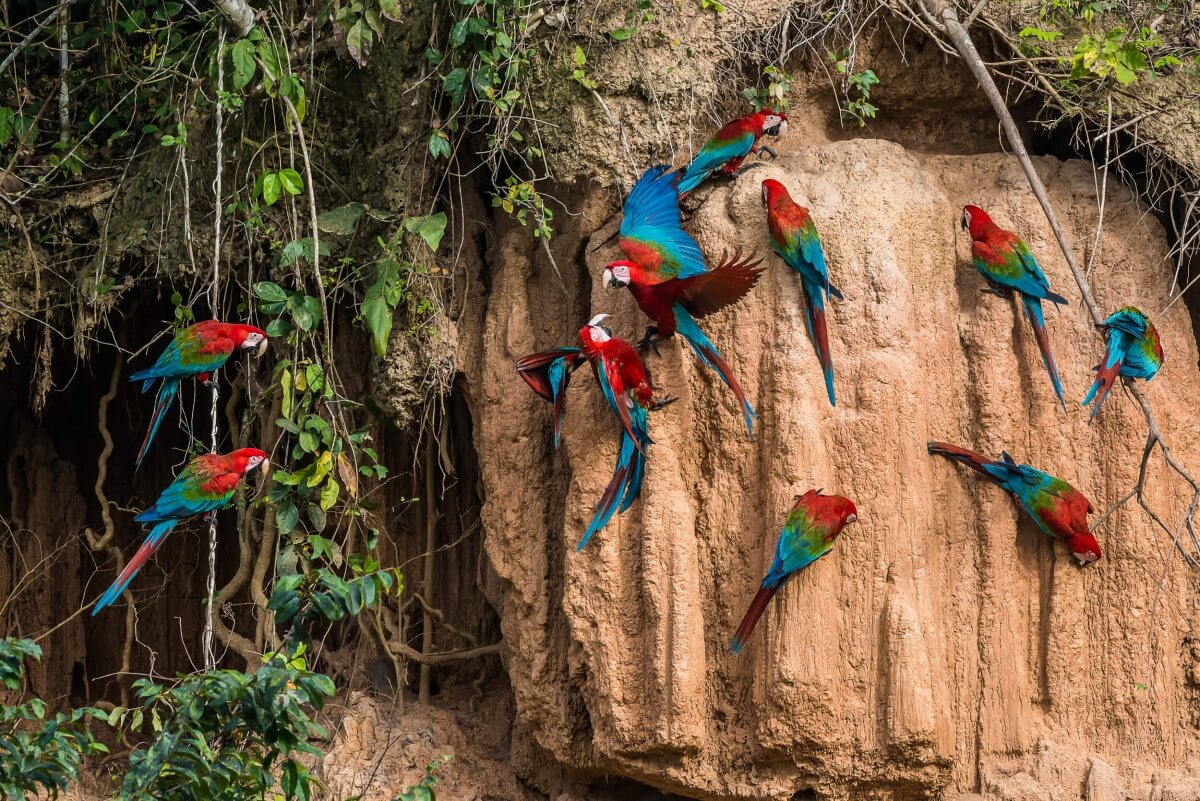 Voyage en Amazonie Sur Mesure • Latinexperience