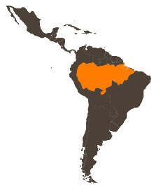 Voyage en Amazonie Sur Mesure • Latinexperience